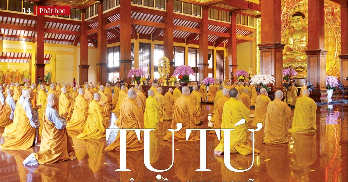 Tự tứ - đôi điều suy nghĩ| Giác Ngộ Online