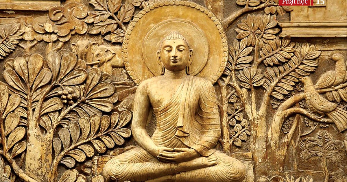 Hiểu đúng về nghiệp| Giác Ngộ Online