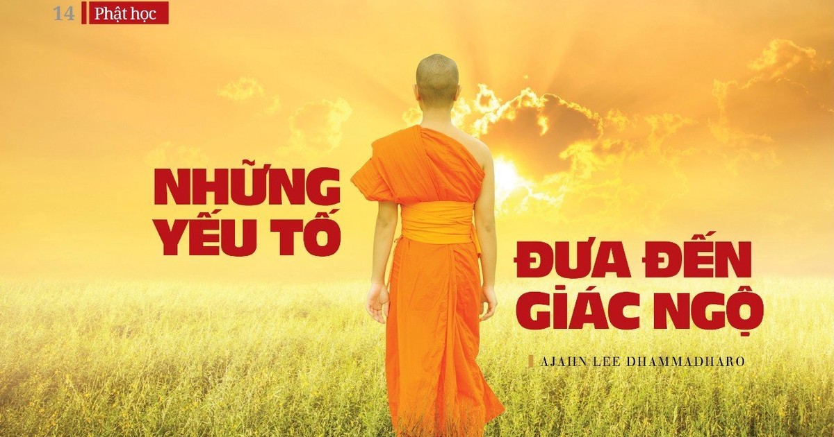 Những yếu tố đưa đến giác ngộ | Giác Ngộ Online
